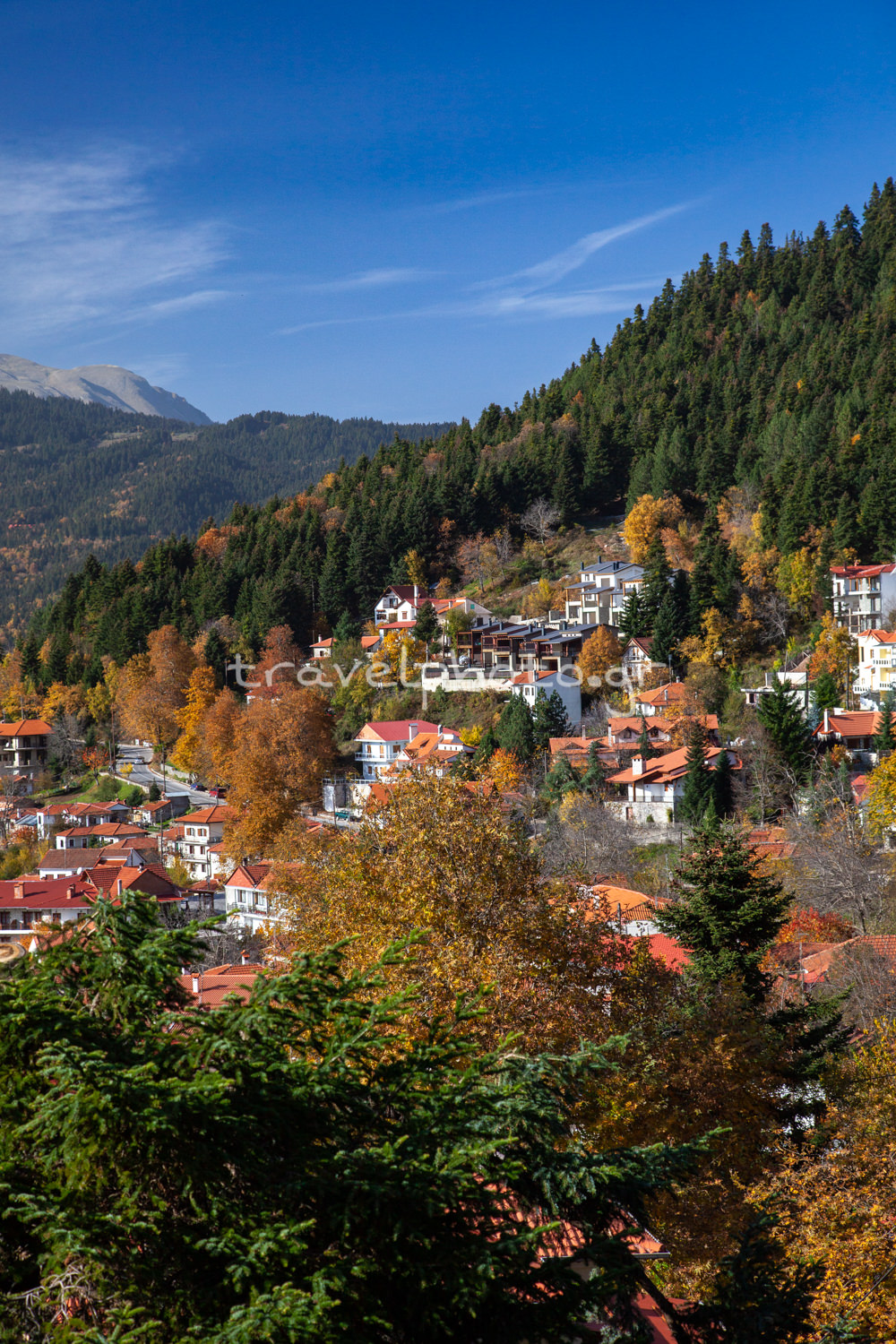 Φωτογραφίες από την Ελάτη Τρικάλων