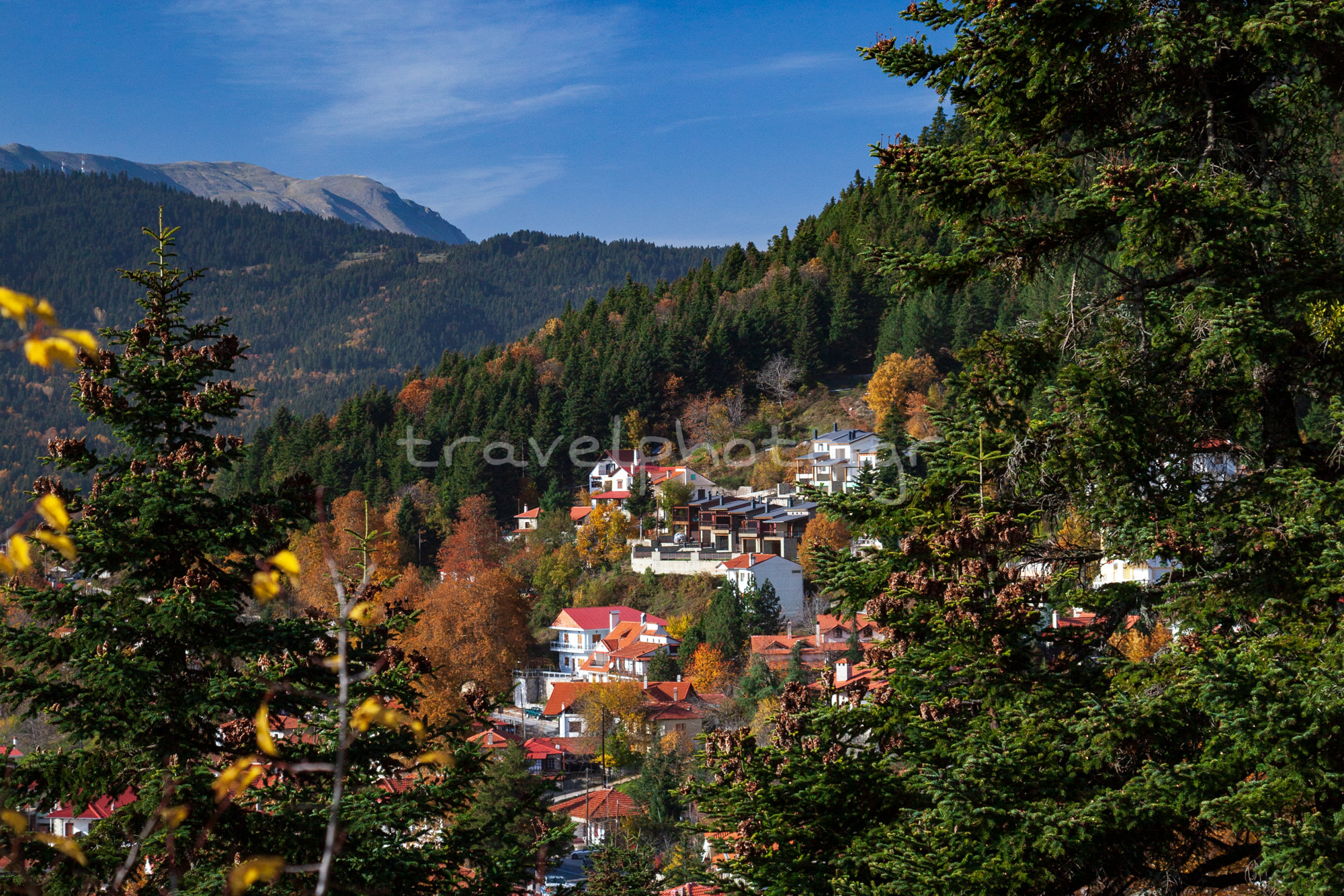 Φωτογραφίες από την Ελάτη Τρικάλων