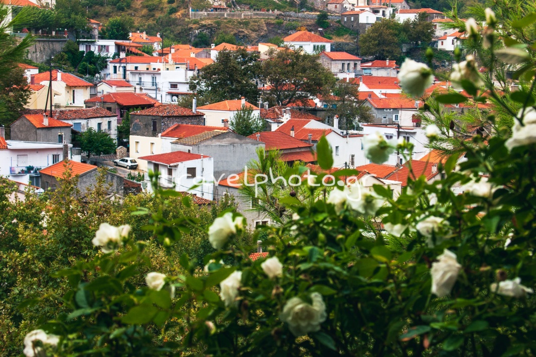 Στενή Ευβοίας, ένας προορισμός για όλο το χρόνο