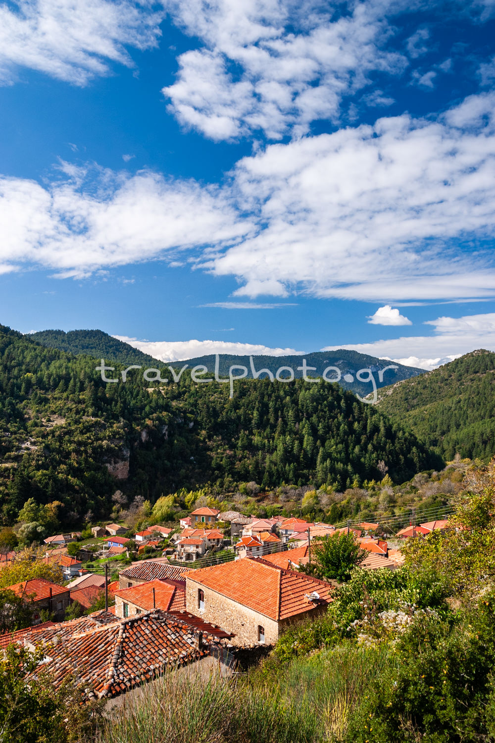 Στα Τζίτζινα (Πολύδροσο) Λακωνίας στον Πάρνωνα